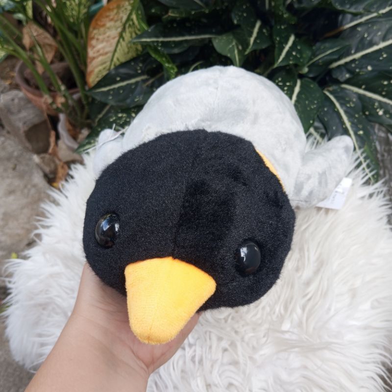 AMUSE Kuttari Penguin Japan Soft Plush toy | Shopee Malaysia