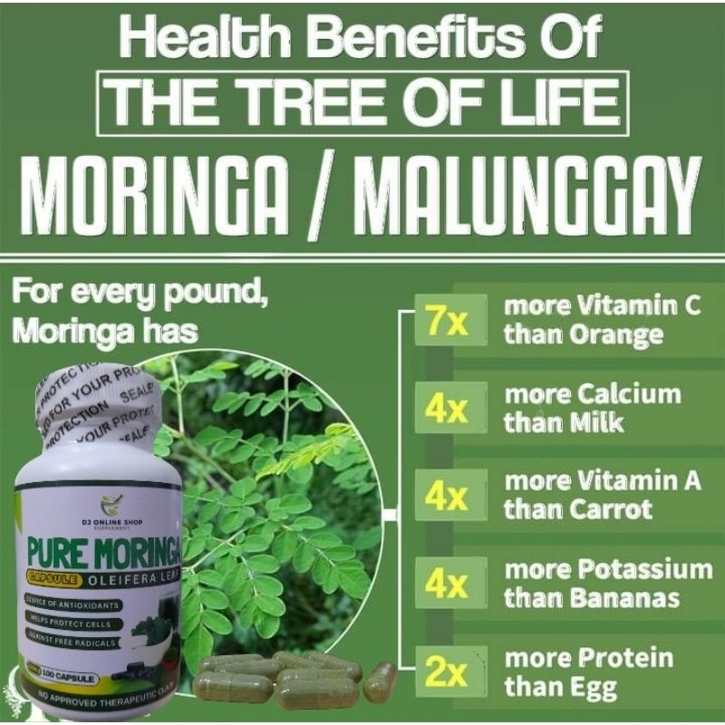 Moringa Malunggay Capsule Pure Organic Herbal Supplement 100caps ...