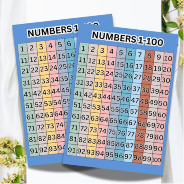 1 PC. LAMINATED CHARTS "NUMBERS 1-100" EDUCATIONAL CHART FOR KIDS (A4 ...