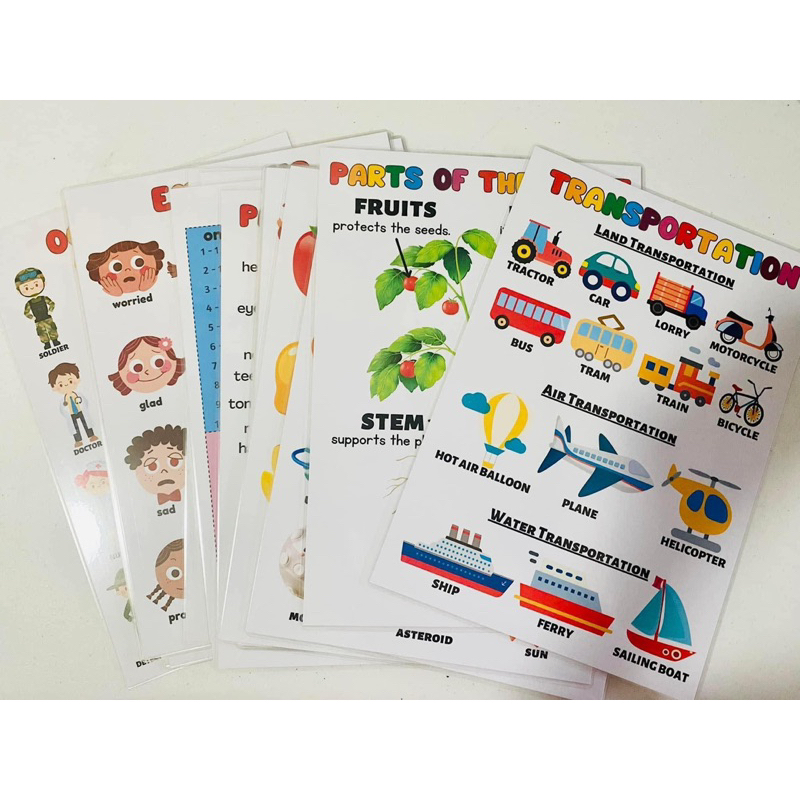 Educational Charts for kids learning materials | Shopee Malaysia