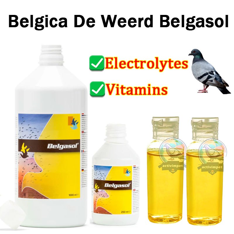 Belgica De Weerd Supplement Belgasol for Racing Breeder Pigeon ...