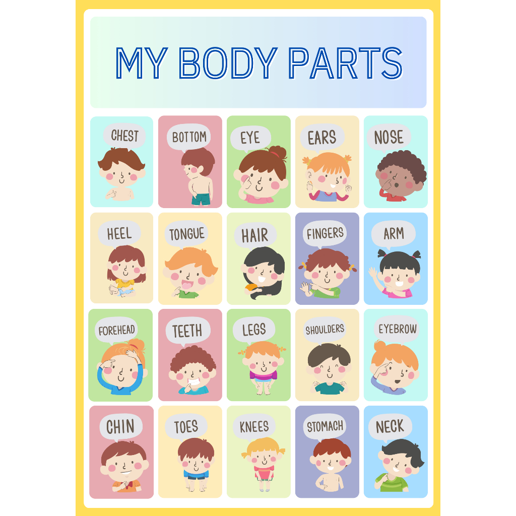 My Body Parts Chart for Kids – Laminated A4 Learning Tool | Shopee Malaysia