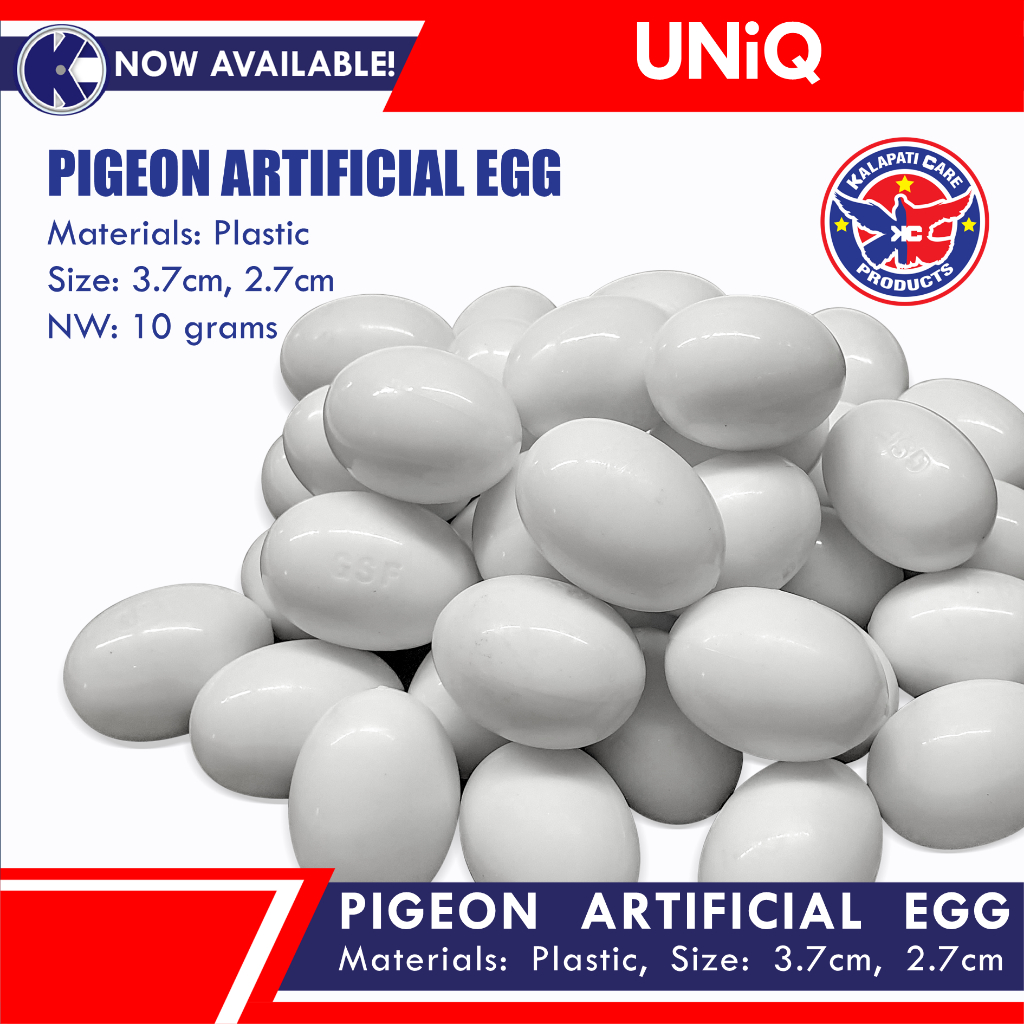 1 pack of 20pcs. Artificial Pigeon Eggs / Dummy Eggs / Fake Eggs ...