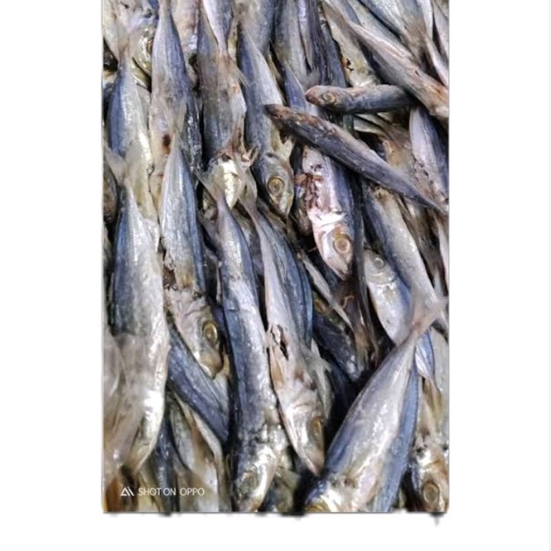 Dried fish Galunggong Tuyo Salinyasi BISUGO Pagotpot banak Kitkit Tulis ...