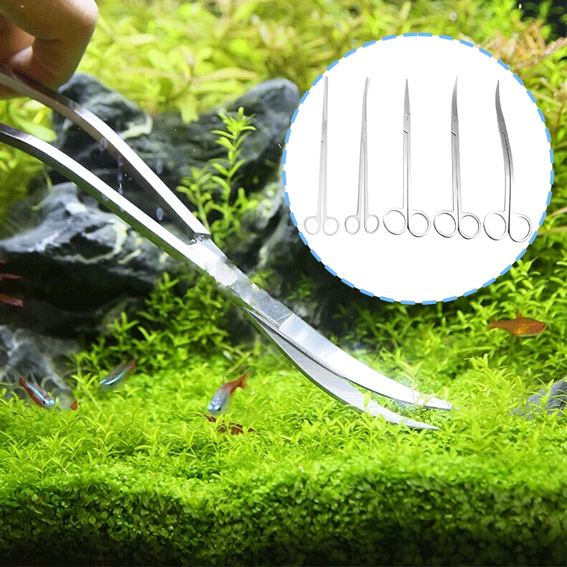 Aquarium Plant Scissors Stainless Steel 25cm Grass Water Scissor ...