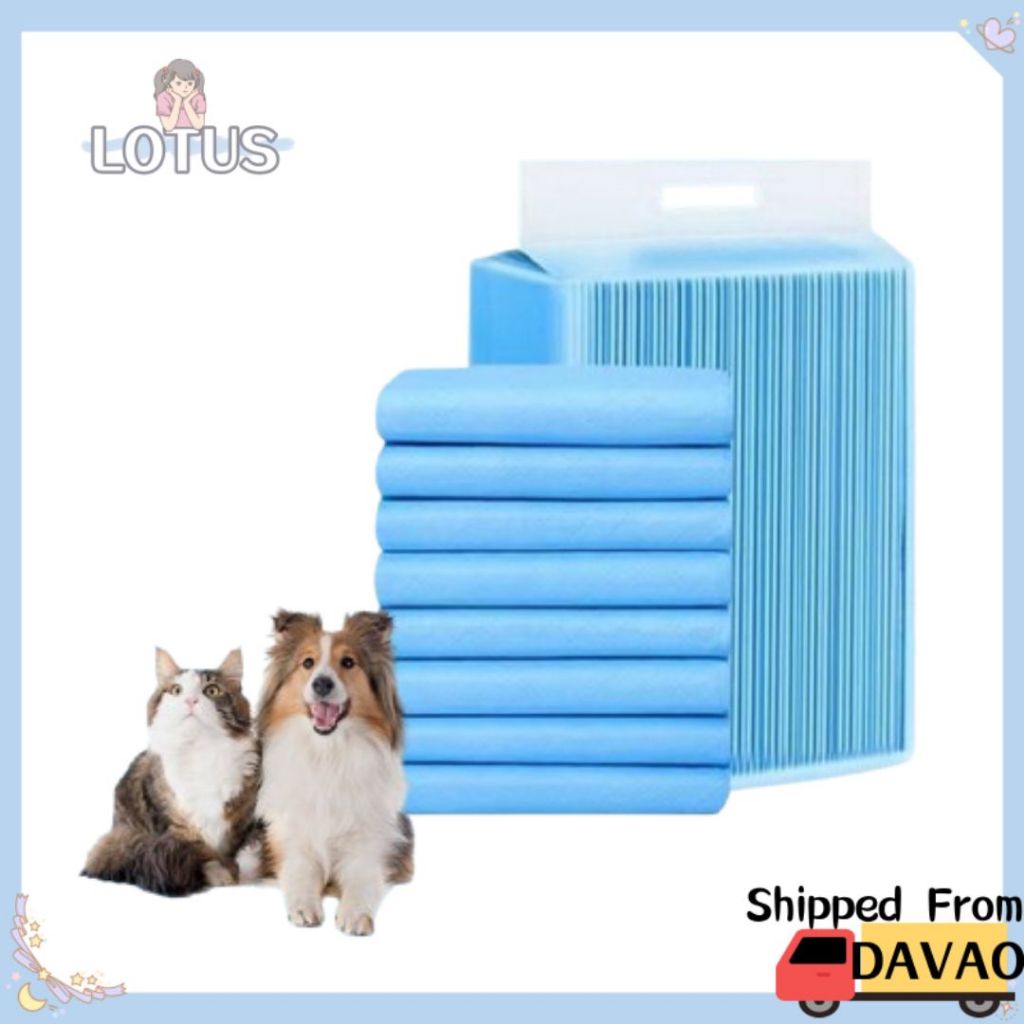 LOTUS Dog Diaper Pet Paper Diaper Dog Supplies (DAVAO) | Shopee Malaysia