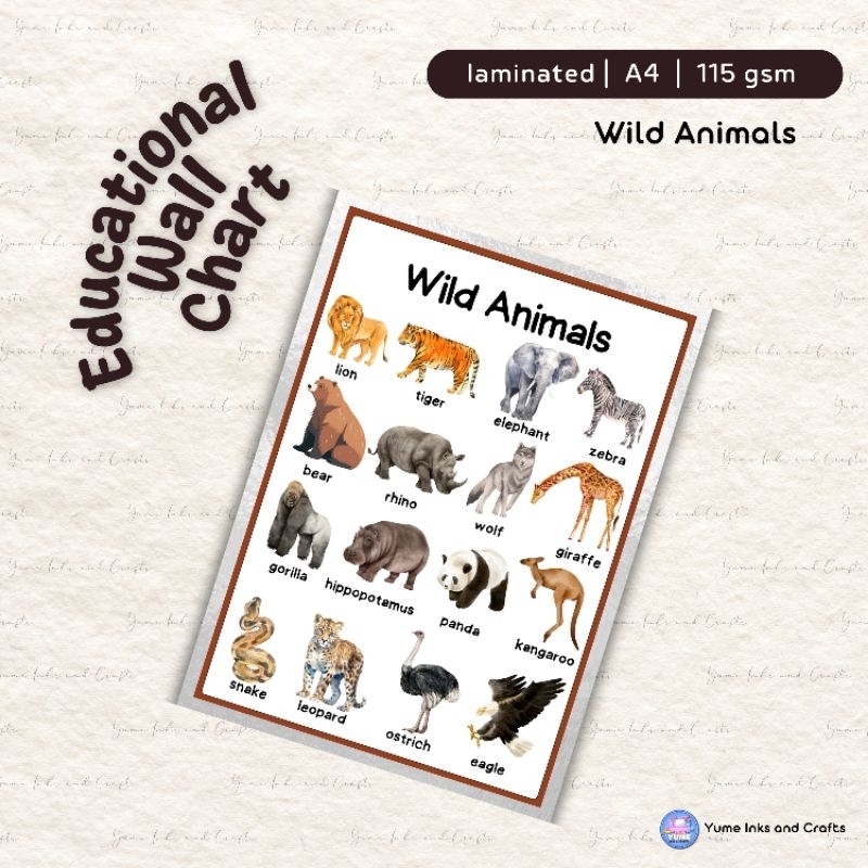 Educational Wall Chart | Wild Animals | A4 | laminated | Shopee Malaysia