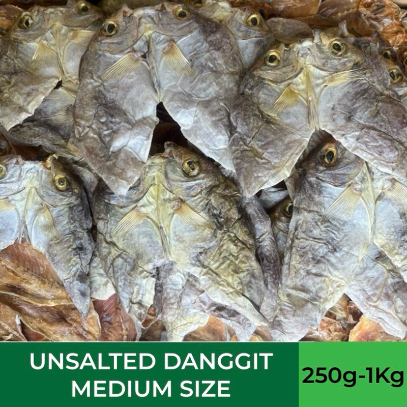 DFP Dried & Unsalted Danggit Medium Size 250g | 500g | 1Kilo ...