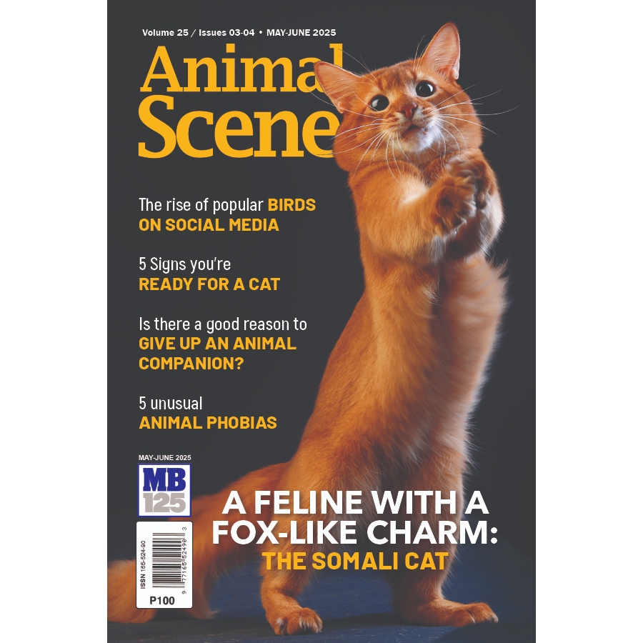 Animal Scene May-June 2025 Issue | Shopee Malaysia