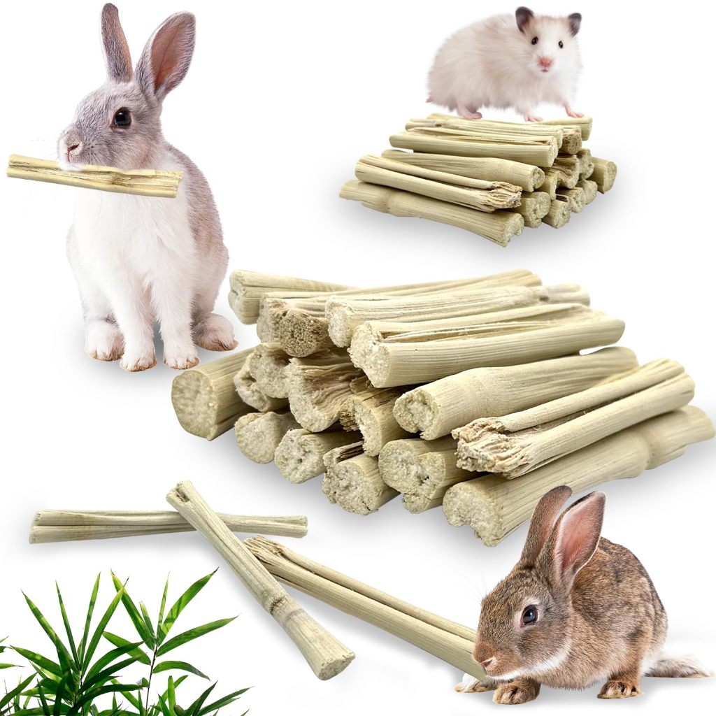 Rabbit chew sticks Sweet bamboo chew sticks Hamst Cat Natural Molar ...