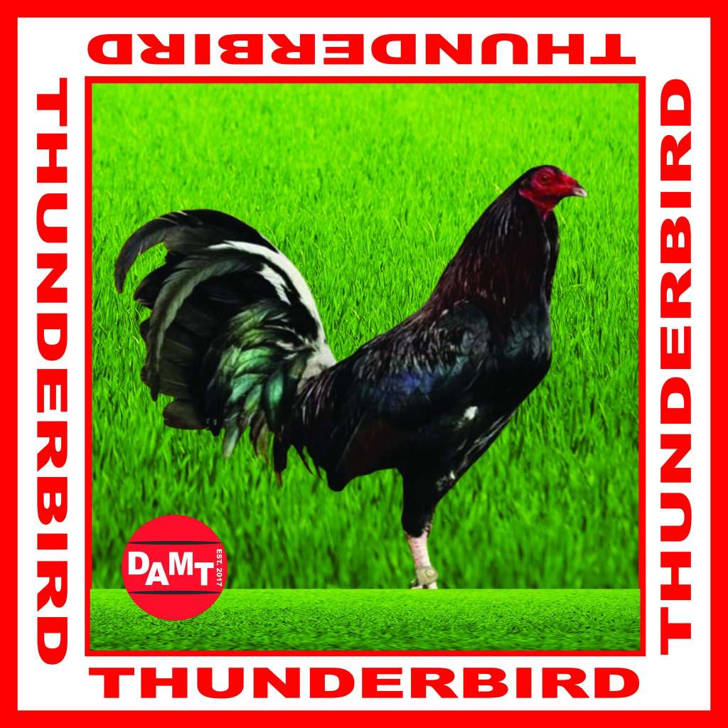 CustomizE Limber matting 4x4 feet for rooster | Shopee Malaysia