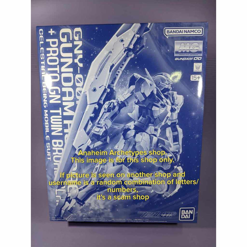 ON-HAND BANDAI MG 1/100 Gundam Astraea + Proto GN Twin Broad Blade ...