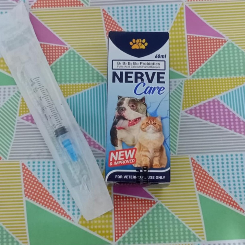 PETSMED NERVE CARE SYRUP - VITAMIN B-COMPLEX WITH PROBIOTICS FOR DOG ...