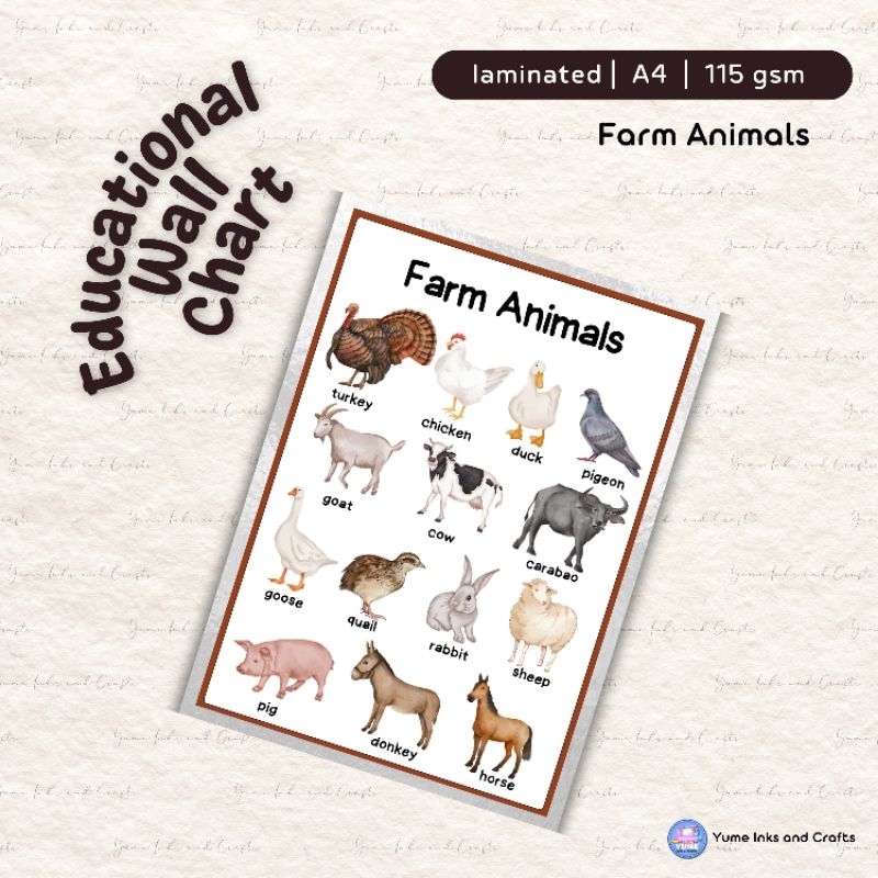Educational Wall Chart | Farm Animals | A4 | laminated | Shopee Malaysia