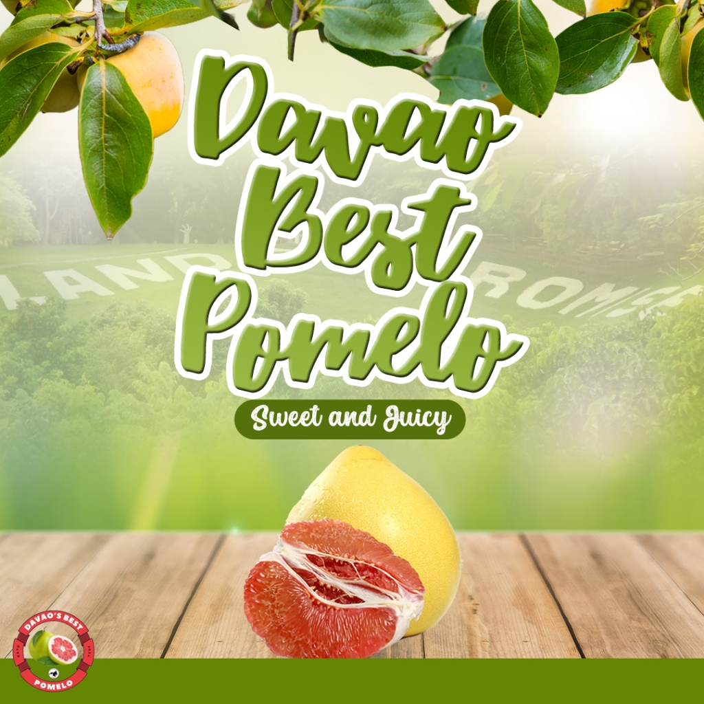 Davao Pomelo/Sweet Juicy Pomelo/Suha/Boongon | Shopee Malaysia