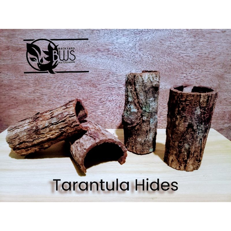 Natural Wood Bark ( Tarantula Hides) | Shopee Malaysia