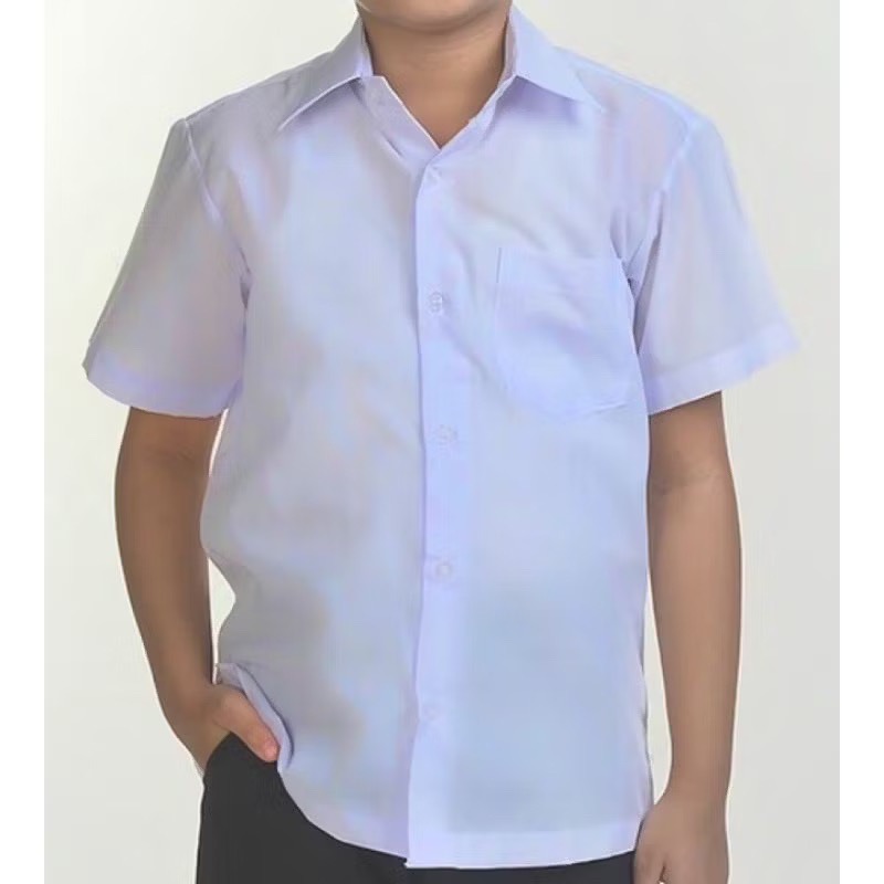 St. Anthony Polo Straight School Uniform for Kids to Adults (Katrina ...
