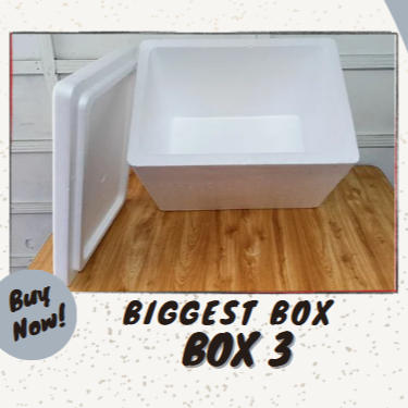 (BIGGEST BOX) STYROBOX / STYRO BOX / PICNIC BOX ICE CHEST / ICE BOX ...