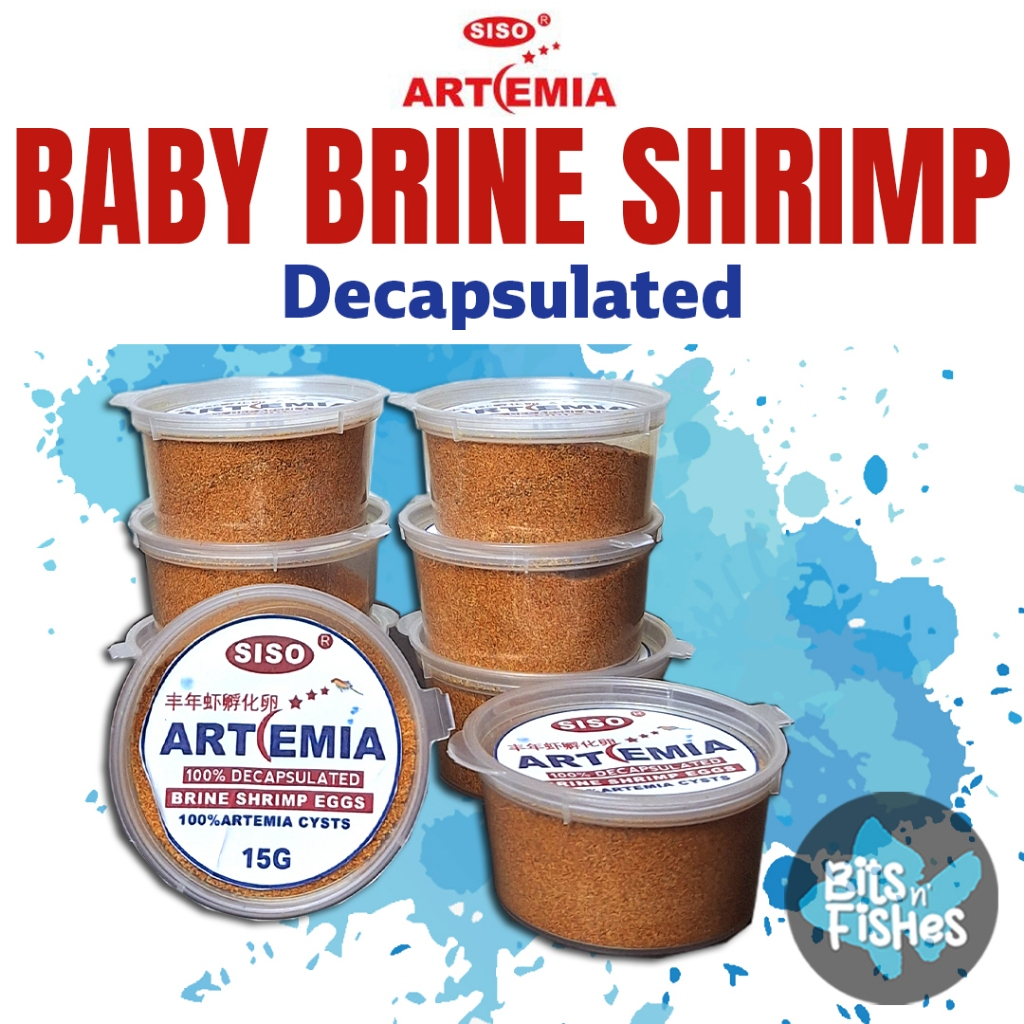 SISO Decapsulated Artemia – High-Protein Brine Shrimp Eggs for Fish Fry ...