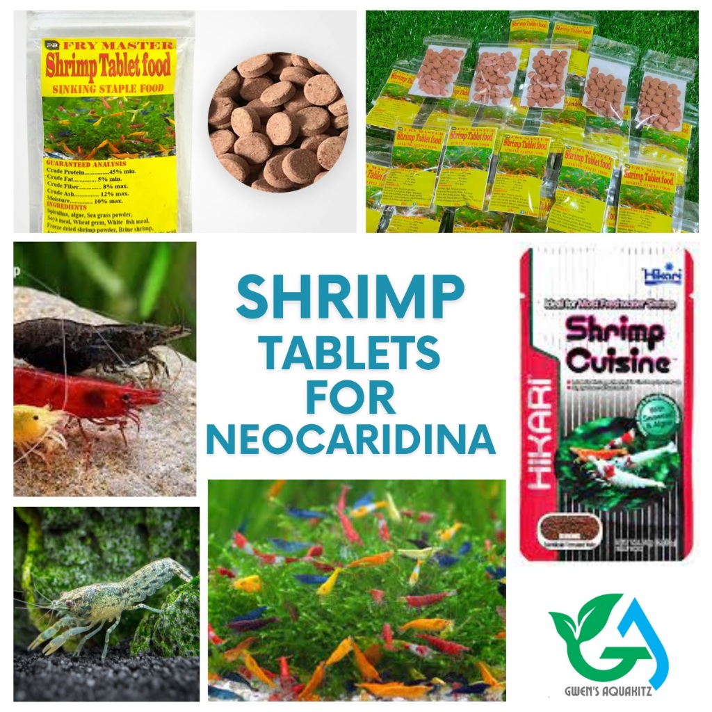 Dwarf Shrimp Tablet / Hikari Shrimp Cuisine [for Neocaridina / Dwarf ...