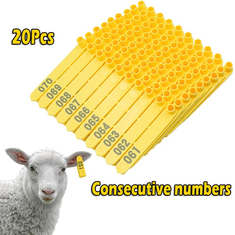 20Pcs Consecutive Number Sheep Ear Tag Livestock ear tags for Goat ...
