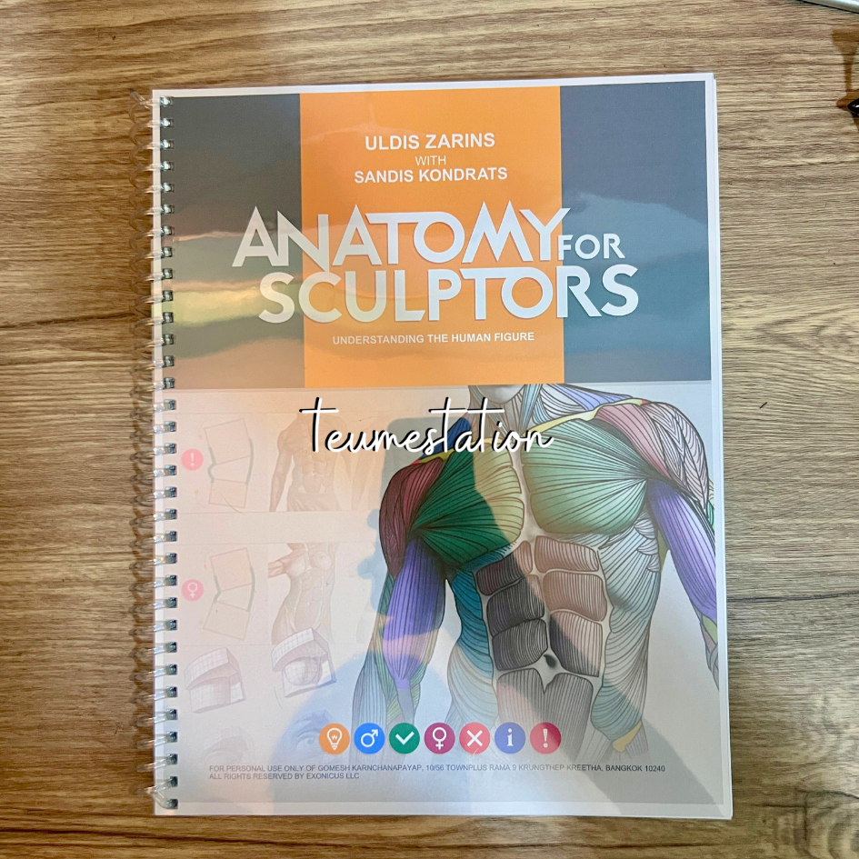 Anatomy for Sculptors: Understanding the Human Figure Art Book Tutorial ...