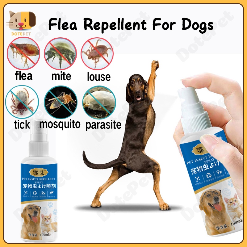 Anti Flea And Tick For Dogs Tick Spray Garapata Remover For Dog Kill ...
