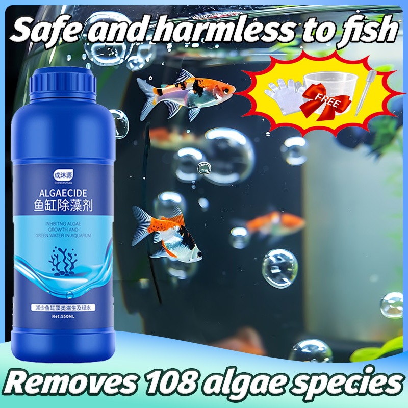 Free algae removal kit algae remover for aquarium 550ml anti algae for ...