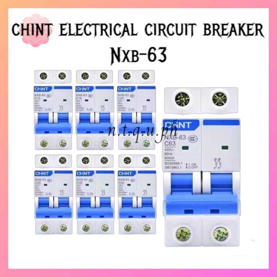 CHINT Electric Mini Circuit Breaker NXB-C63/2P eB /2P MINIATURE CIRCUIT BREAKER | Shopee Malaysia