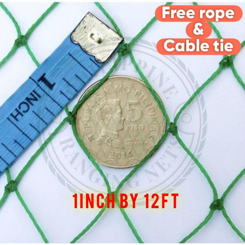 [100 meters] 1 inch x 12 ft - Chicken Net / Range Net / Poultry Net ...