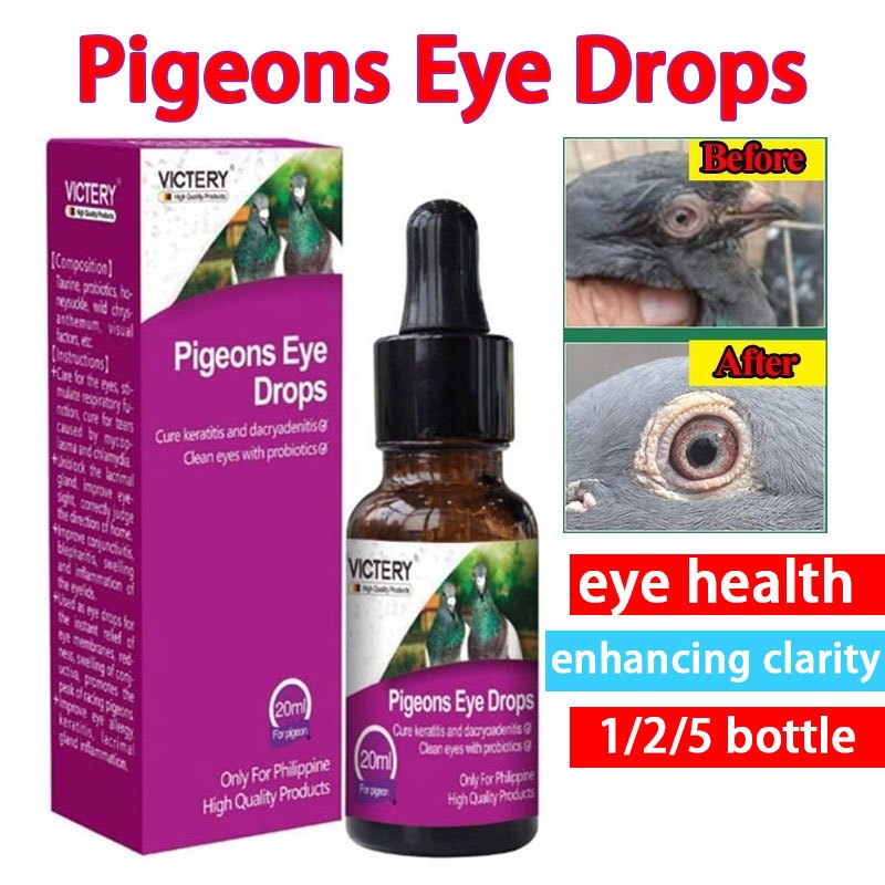 Victery Pigeon Eye Drops 20 ml Philippines Version Clean Eyes with ...