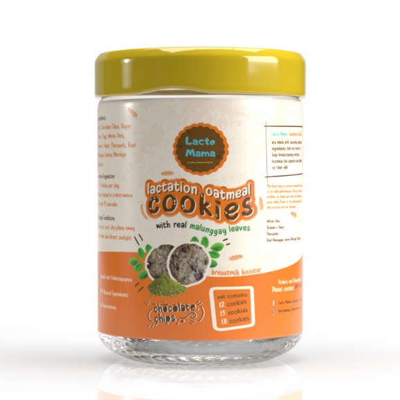 Malunggay Choco Chip Cookies by Lacto Mama (Jar of 15s) | Shopee Malaysia