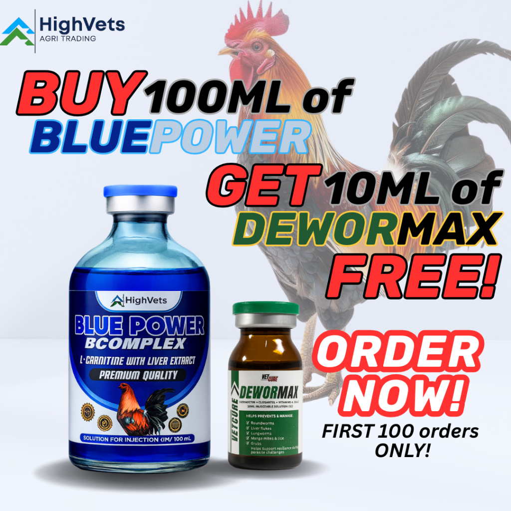Blue Power B Complex with L CARNITINE and Liver Extract,Gamefowl ...
