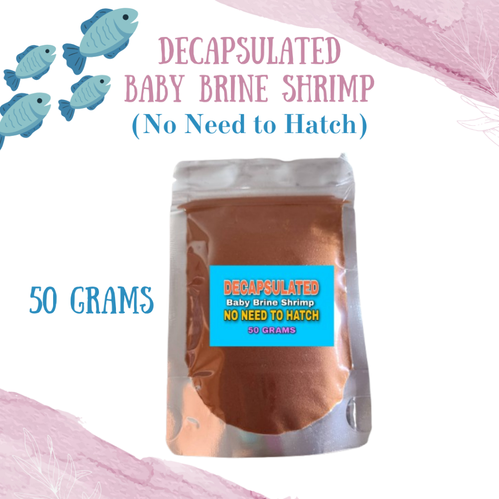 DECAPSULATED BBS Baby Brine Shrimp 50 GRAMS (NO NEED TO HATCH) | Shopee ...