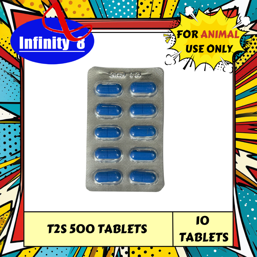 SAGUPAAN T2S 500 TABLETS 10 TABLETS (1 BANIG) | Shopee Malaysia