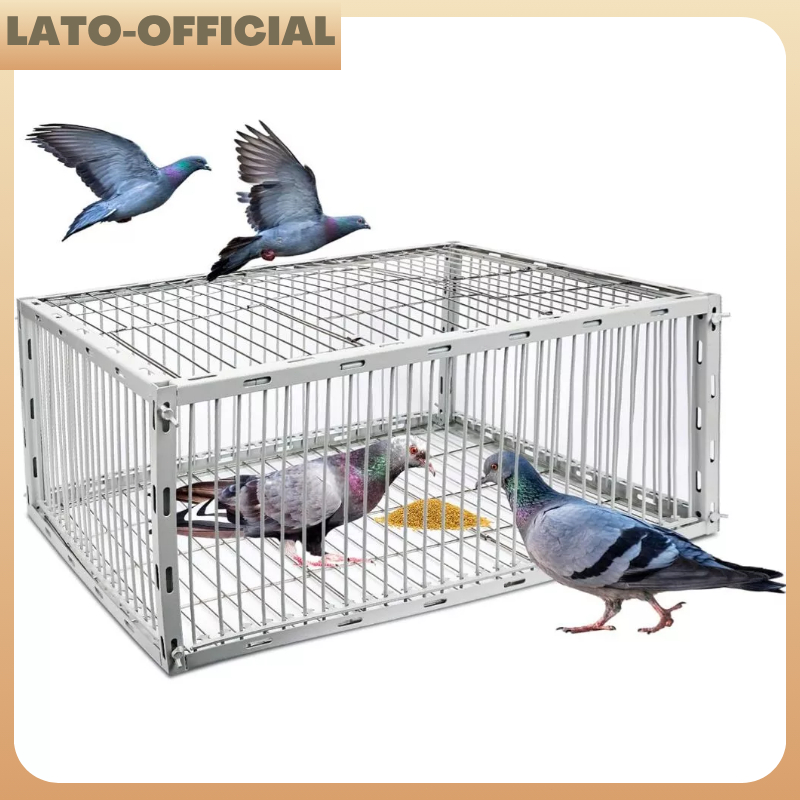 Pigeon Trap Cage Stainless Steel Kulungan ng kalapati (4 door ) Fully ...