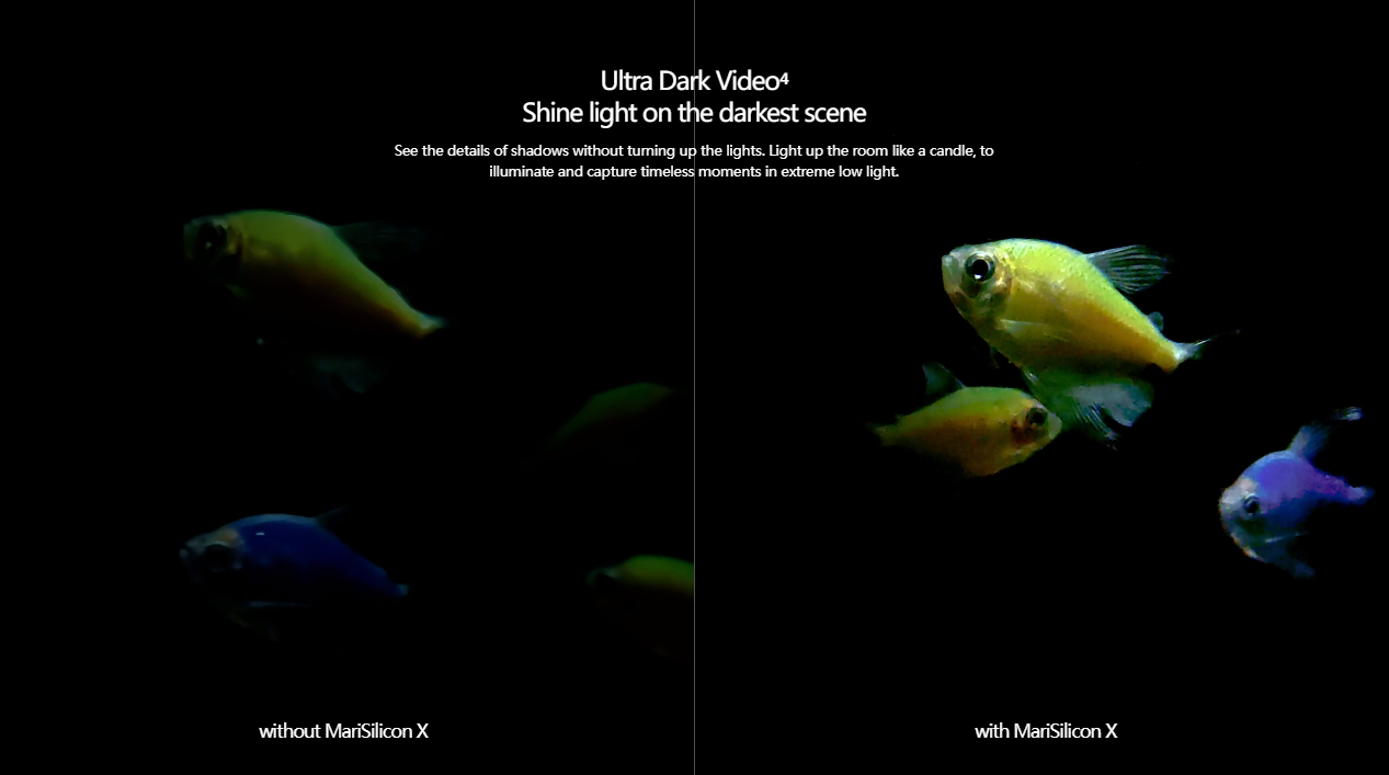 OPPO Find X5 CPH2307 Dual SIM 8GB+256GB 5G | 4K Ultra Night Video ...