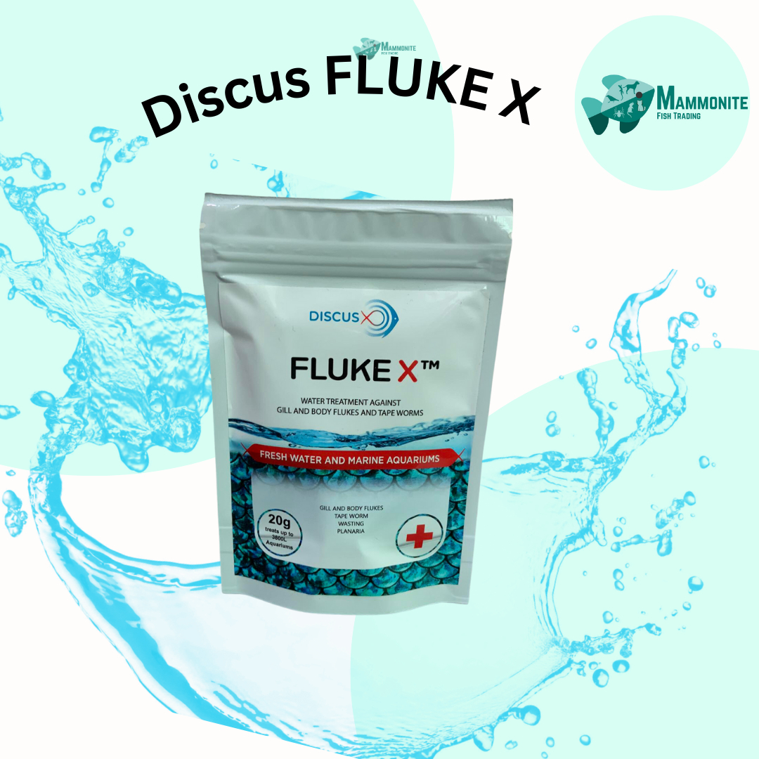 Aquarium Discus X FLUKE X for FISH TREATMENT and Fresh water and Marine ...