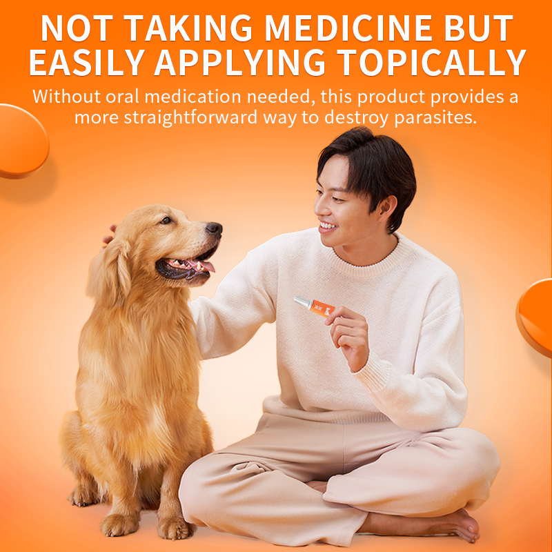 PUAINTA 2-IN-1 Internal & External Deworming for Dog Anti Flea Ear Mite ...