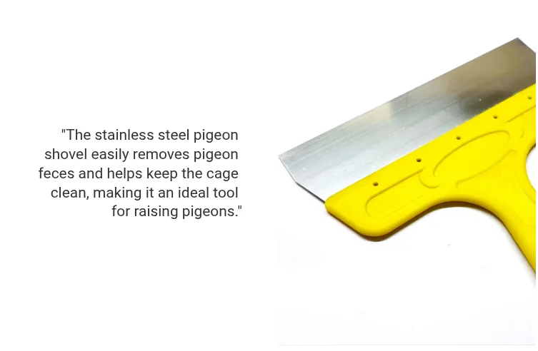 Yellow/Black 10 inches Pigeon Droppings Scraper–Stainless Steel Tool ...