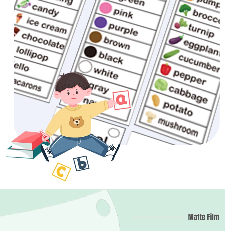 40 Themes Words Flashcards 41cards Dolch Sight Word&129PCS Phonics ...