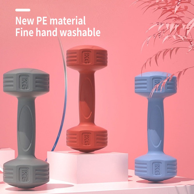 2PCS Dumbbell Set For Women 0.5KG/1KG/2KG Home Dumbell/Kettlebell ...