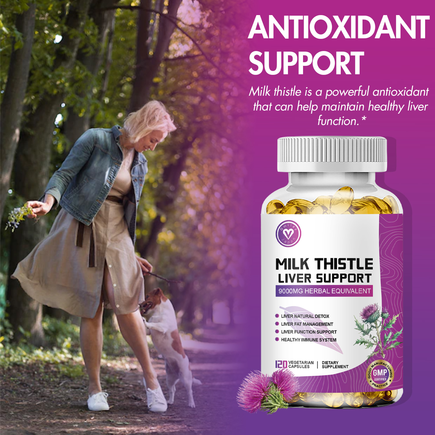 SOFTHER Milk Thistle Essentiale Forte Capsule for Liver Liveraide ...