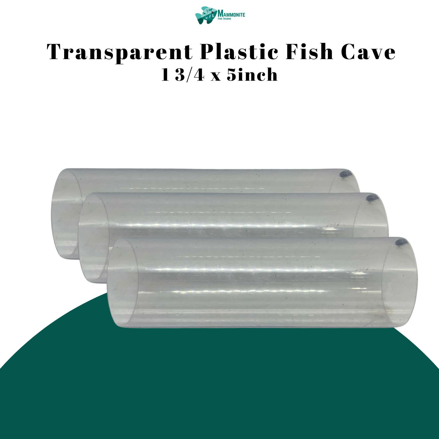 Transparent Plastic Fish Cave 1 3/4 x 5 inch | Shopee Malaysia