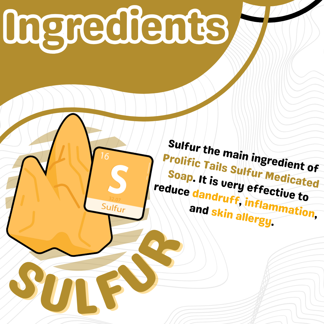 LKJ-Prolific Sulfur Medicated Soap For Cats & Dogs 135g Anti Parasitic ...