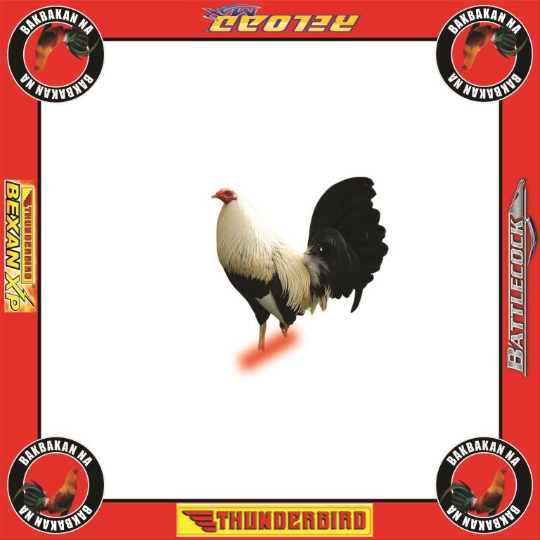 LIMBER MATTING FOR GAMEFOWL ROOSTER (4FTX4FT) | Shopee Malaysia