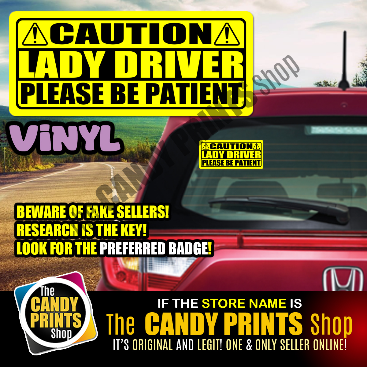 7 x 3 inches - Magnetic and Vinyl Car Sticker (CAUTION - LADY DRIVER ...