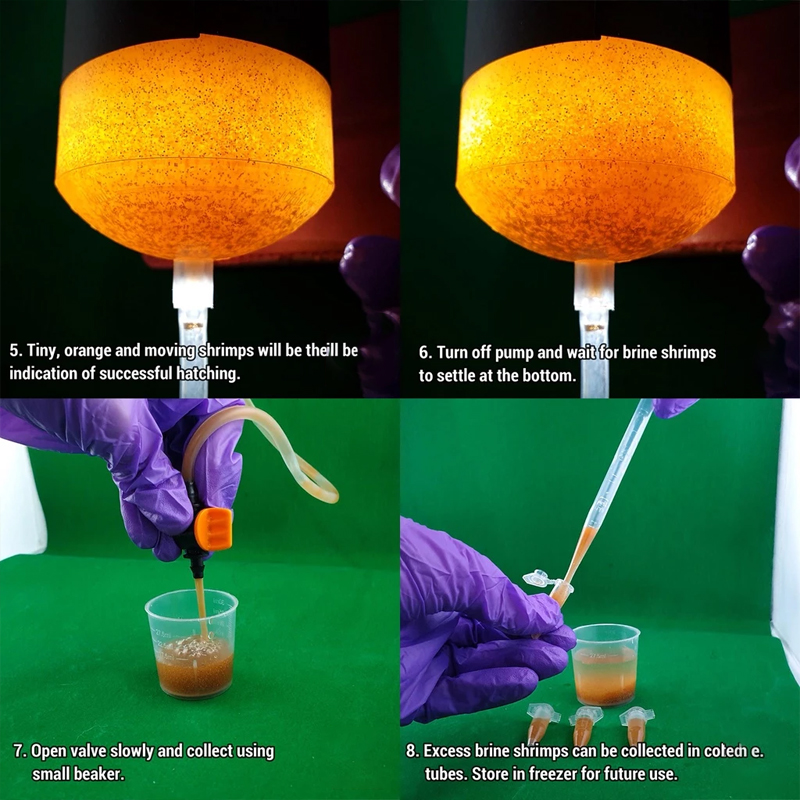 Hatchery tool with pump Baby Brine Shrimp Egg BBS Hatching Incubator ...