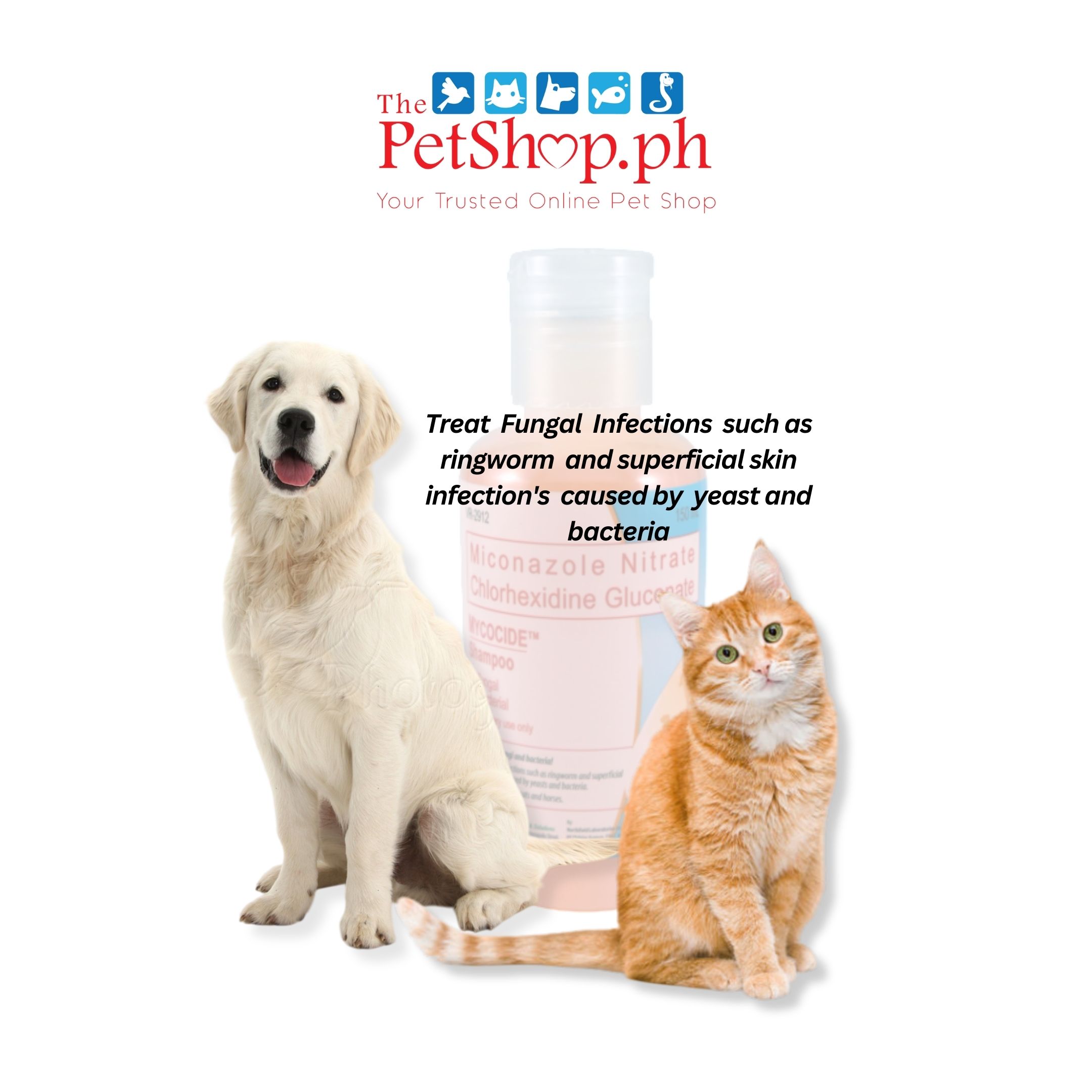 Mycocide Shampoo Anti Fleas and tick (150 ml ) | Shopee Malaysia