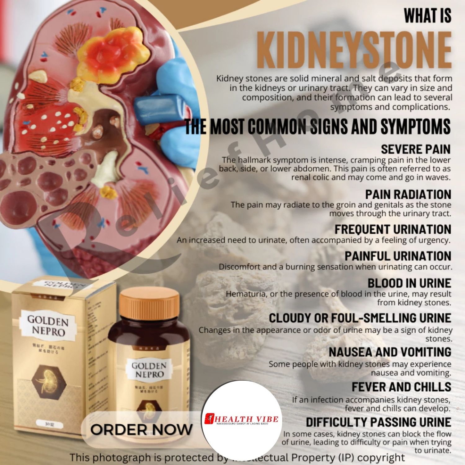 Golden Nepro - Kidney Support Supplement, Detox, Stone Breaker | Shopee ...